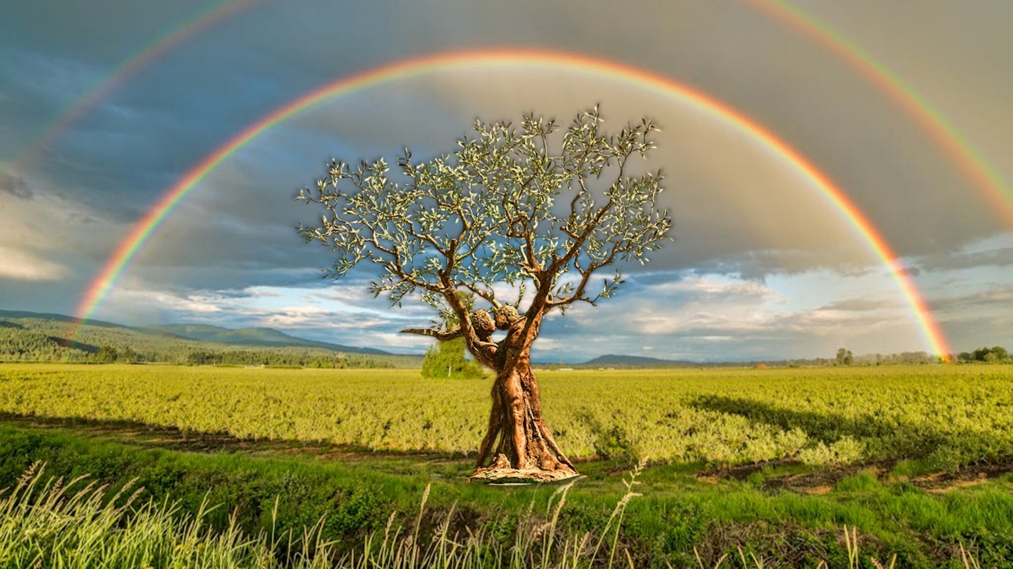 2025 NEWSLETTER (SUMMER) – FIGU USA INC